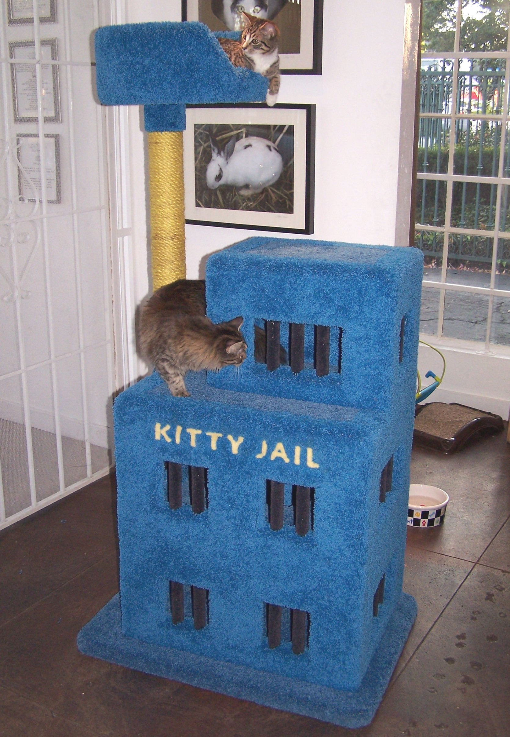 Deluxe Kitty Jail Condo